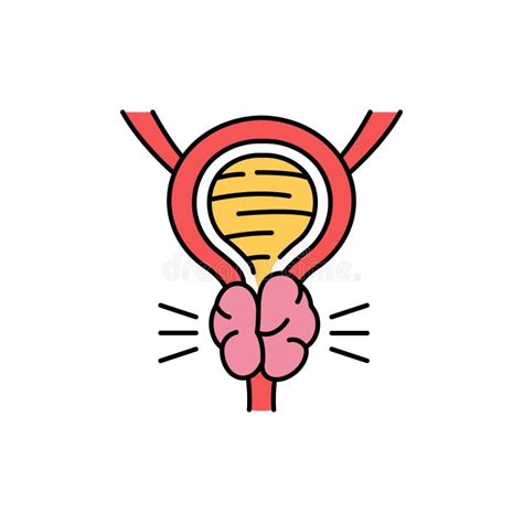 Diseases Male Reproductive System Stock Illustrations 16 Diseases
