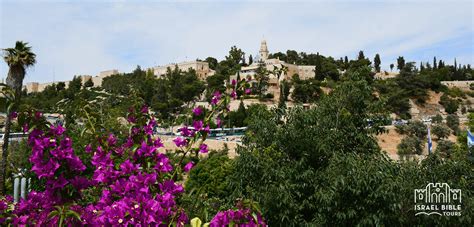 Breathtaking Bible Tour Of Israel Israel Bible Tours