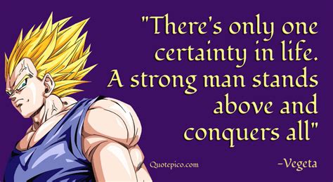 15 Vegeta Quotes To Goku Kakarot In Dragonball