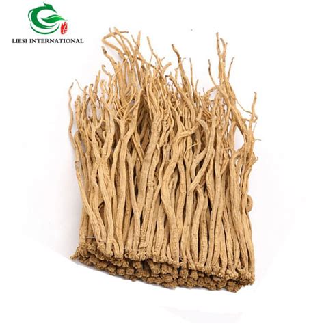 China Codonopsis Pilosula Root Manufacturers And Suppliers Factory
