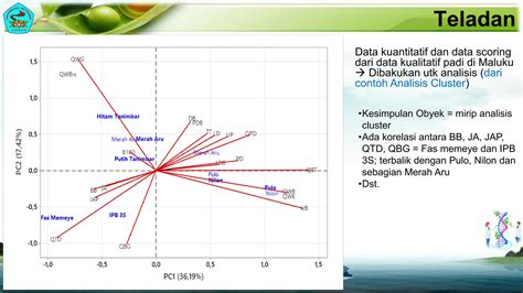 04banalisis Biplot Untuk Kemiripan Dan Hubungan Genetikpdf