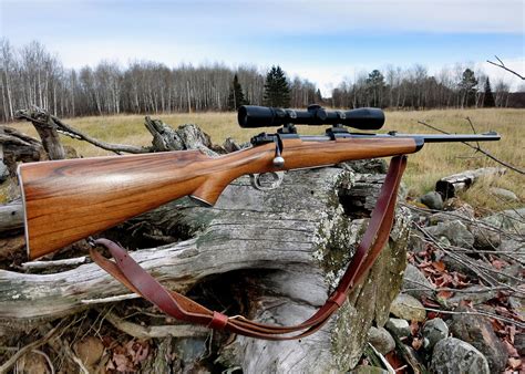 First Rust Bluing Rimfire Central Firearm Forum