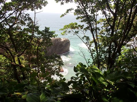 Paria Waterfall Hike Island Experiences Trinidad And Tobago