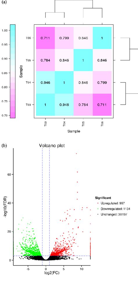 Figure 2 From Comparative Transcriptome And Histomorphology Analysis Of