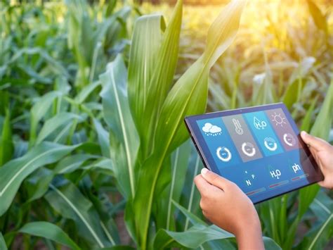 Agricultura Inteligente Com Iot Cultivo De Mudas De Milho Com