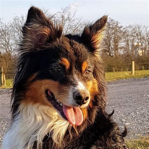 Friendly Fire Patsy Added A New Photo Friendly Fire Patsy