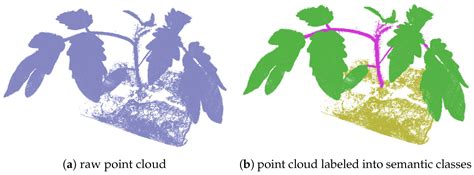 Semantic Segmentation Method For High Resolution Tomato Seedling Point Clouds Based On Sparse