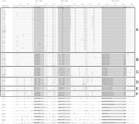 Protein Sequence Of 62 Selected Vhh Antibody Fragments Selected By