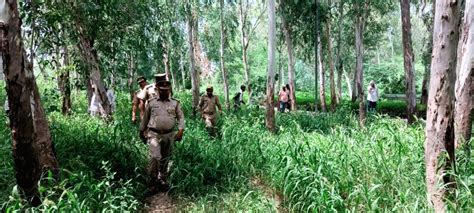 Tn Forest Dept Expedites Process To Remove Invasive Species