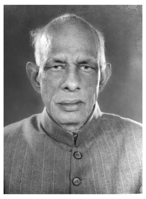 Mohammad Habib Alchetron The Free Social Encyclopedia