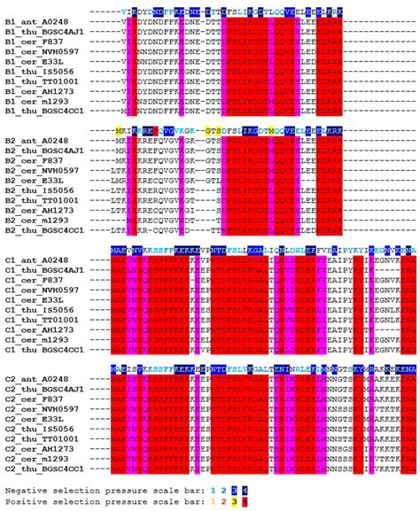 Toxins Special Issue Toxin Antitoxin System In Bacteria