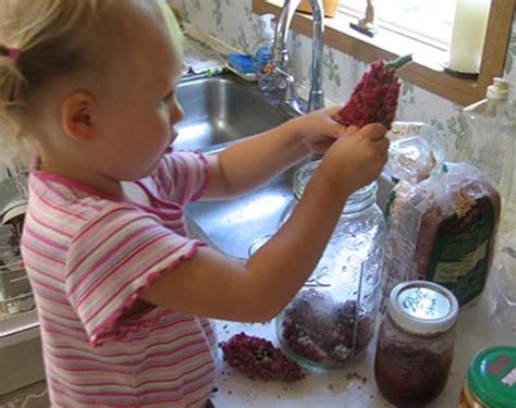 Sumac Ade Summer 2015 Knots And Bolts