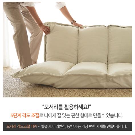 각도조절로 소파와 베드를 동시에 쉘위 2인 좌식소파베드 Bannyzip님 네이버 블로그