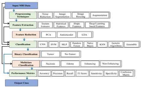 Overview Of The Steps And Methods Involved In Brain Tumor Download Scientific Diagram