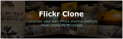 Flickr Clone Script By Ncrypted Websites Get Photo Sharing Flickr Clone Developed From Ncrypted