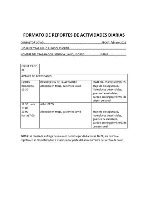 Formato De Reportes De Actividades Diarias Pdf