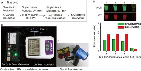Minimal Time And Instrument Requirements For Field Deployable Multiplex