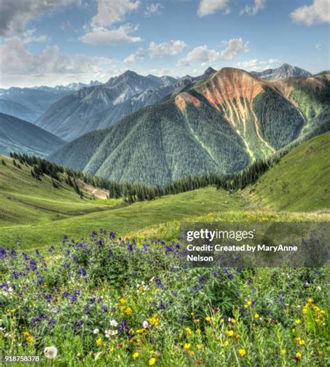 Larkspur Colorado Photos And Premium High Res Pictures Getty Images