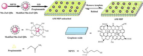 Schematic Representation Of Synthesis Procedure Of Am Mip Download