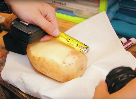 Potato Camera Project Creates Camera Out Of A Potato What Did You
