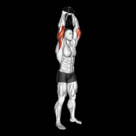 Machine Triceps Extension Guide Muscles Worked Tips Athlemove