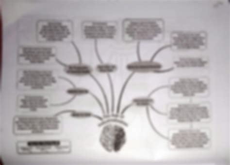 SOLUTION: CLASS 10TH HISTORY MIND MAPS - Studypool