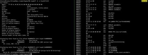 Practical Binary Analysis Challenge Writeup For Level 2 R