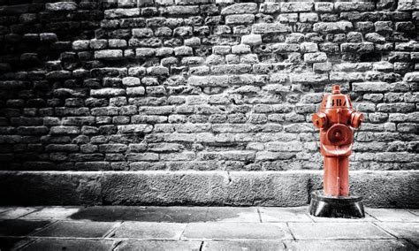 5769044400801934334966870446n Chris Bachmann Flickr