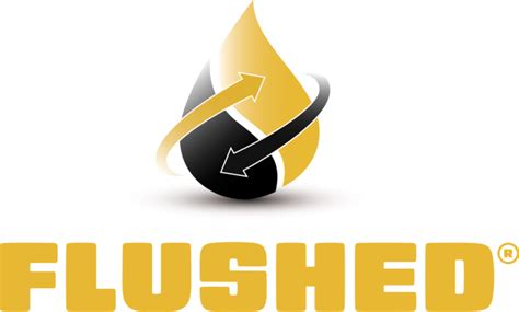 Dsg Bak Spoelen Hoe Werkt Dat Flushed Automaat Spoelen