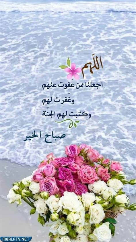 اجمل بطاقات وصور صباح الخير Png بجودة عالية موقع مقالاتي