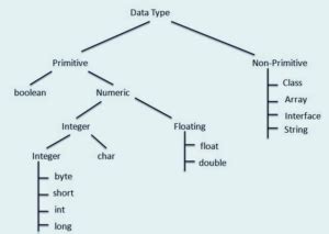 Java Data Types W3babes