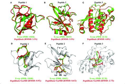 Haddock Peptide Docking At Amanda Okane Blog