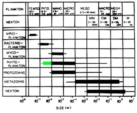 Fiu Ocb3043 Lecture Notes