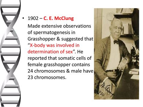 Sex Determination In Animals Pptx