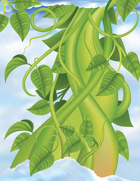 Best Bean Stalk Illustrations Royalty Free Vector Graphics And Clip Art