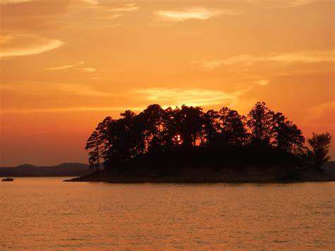 Lake Ouachita Bird Island Arkansas Largest Purple Martin Roost