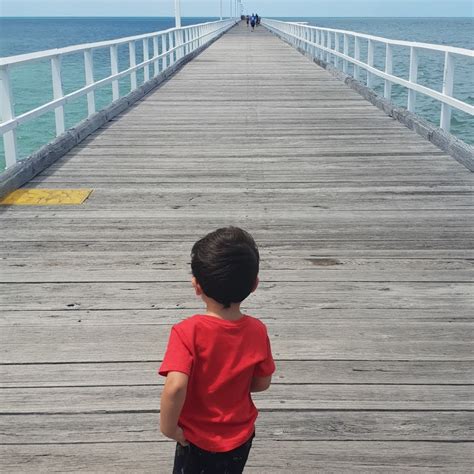 Shane Quelch Youtube