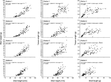 Relationships Between Shell Height Shell Weight And Tissue Weight Of