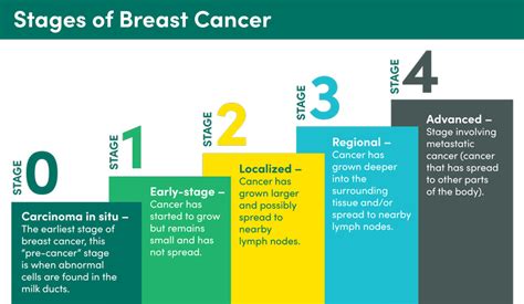 Navigating Your Breast Cancer Diagnosis