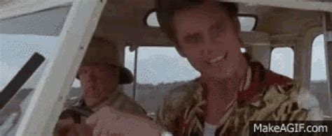 Ace Ventura Jim Carrey  Ace Ventura Jim Carrey Bumpy Discover