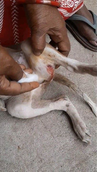 Mujhe V Jina Hai Youtube