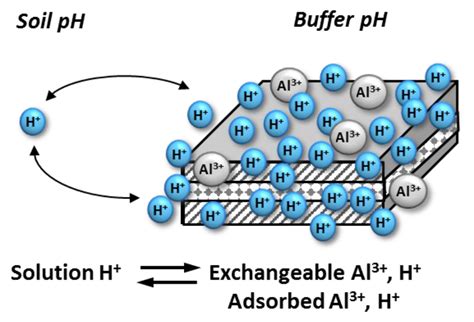 104106 Soil Ph Buffer Ph And Lime Requirement Servitechs