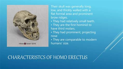 Biocultural Evolution Pptx