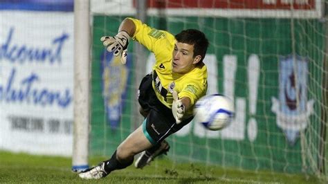 Gabriel Sava Alchetron The Free Social Encyclopedia