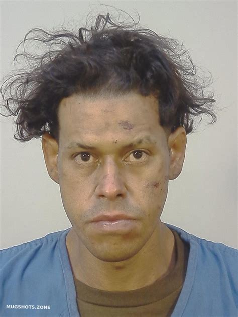 Reyes Rivera Eli Samuel 08242024 Dane County Mugshots Zone