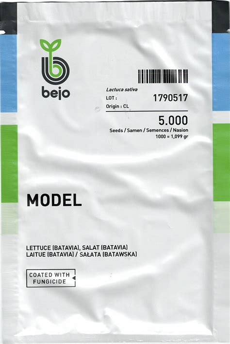Salata Creata Model 5000 Seminte Tip Batavia Bejo Solarlegume Ro Magazin Agricol Gva