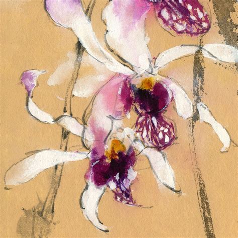 20230516 Dendrobium Caesar Chng Kiah Kiean