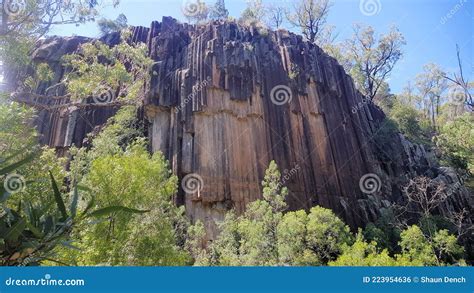 Sawn Rocks Mount Kaputar National Park Columnar Basalt Outcrop Stock