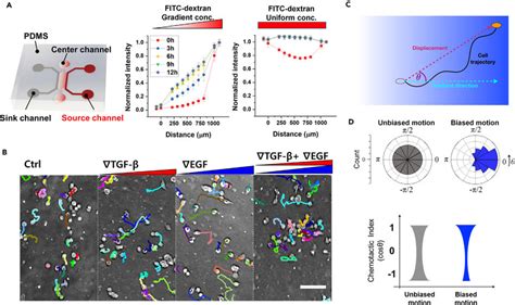 Chemotaxis Platform And Chemotaxis Characteristics A Schematic