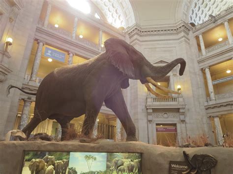 Museum By Ewbtech On Deviantart Museum By Ewbtech On Deviantart